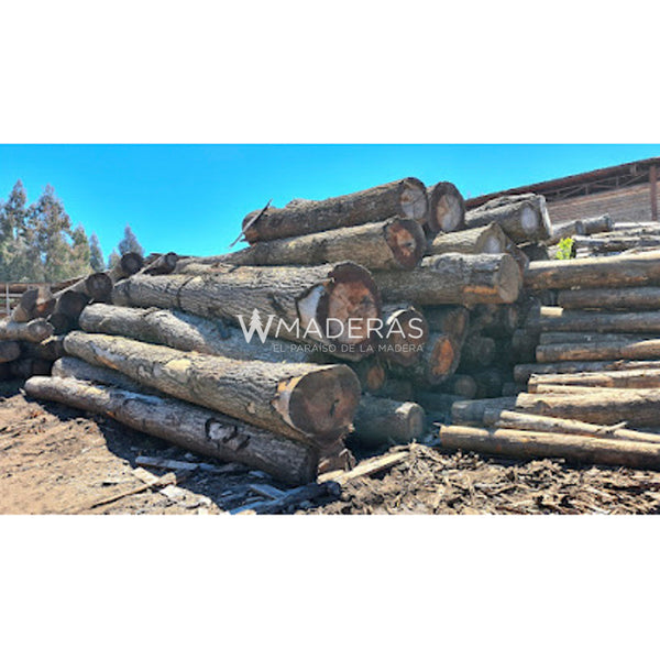 Maderas Aserradas - Raulí