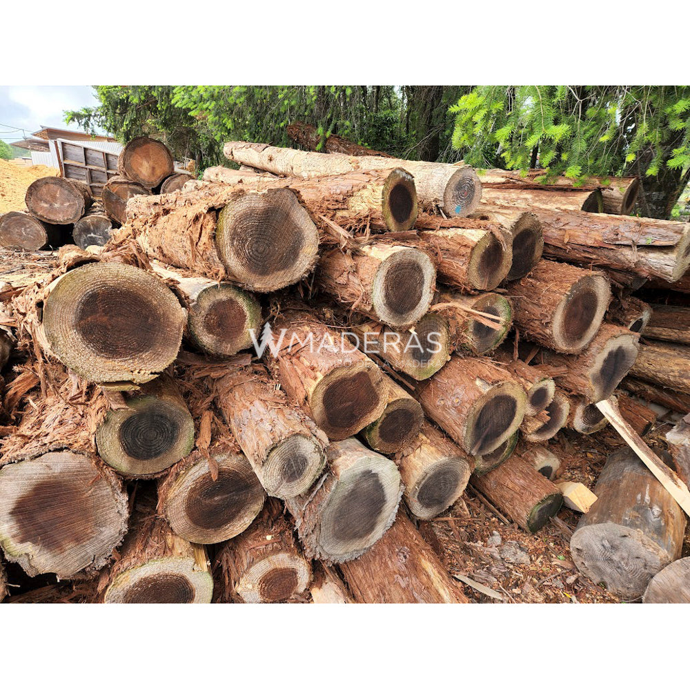Maderas Aserradas - Sequoia