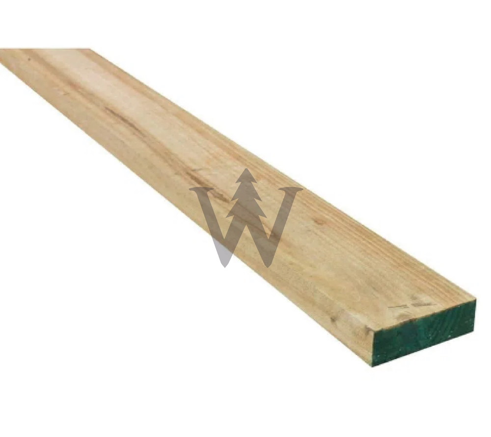 Pino insigne Verde dimensionado