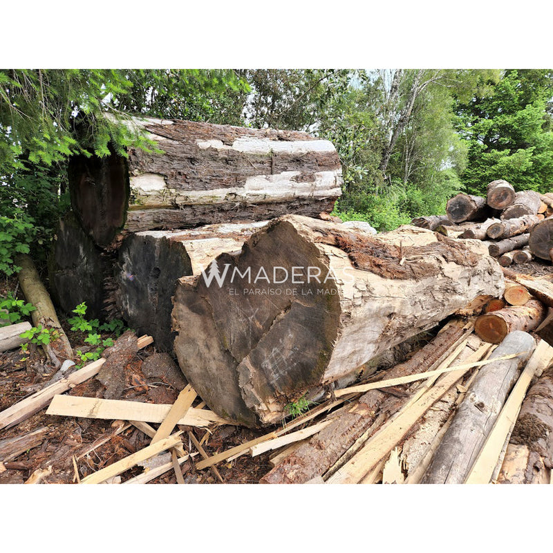 Maderas Aserradas - Sequoia